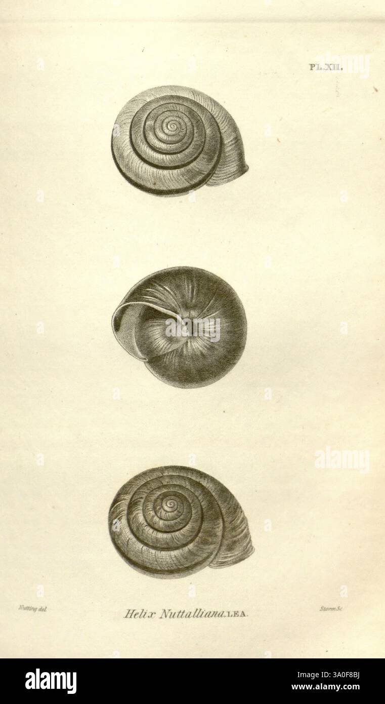 Tighter spiral hi-res stock photography and images - Alamy