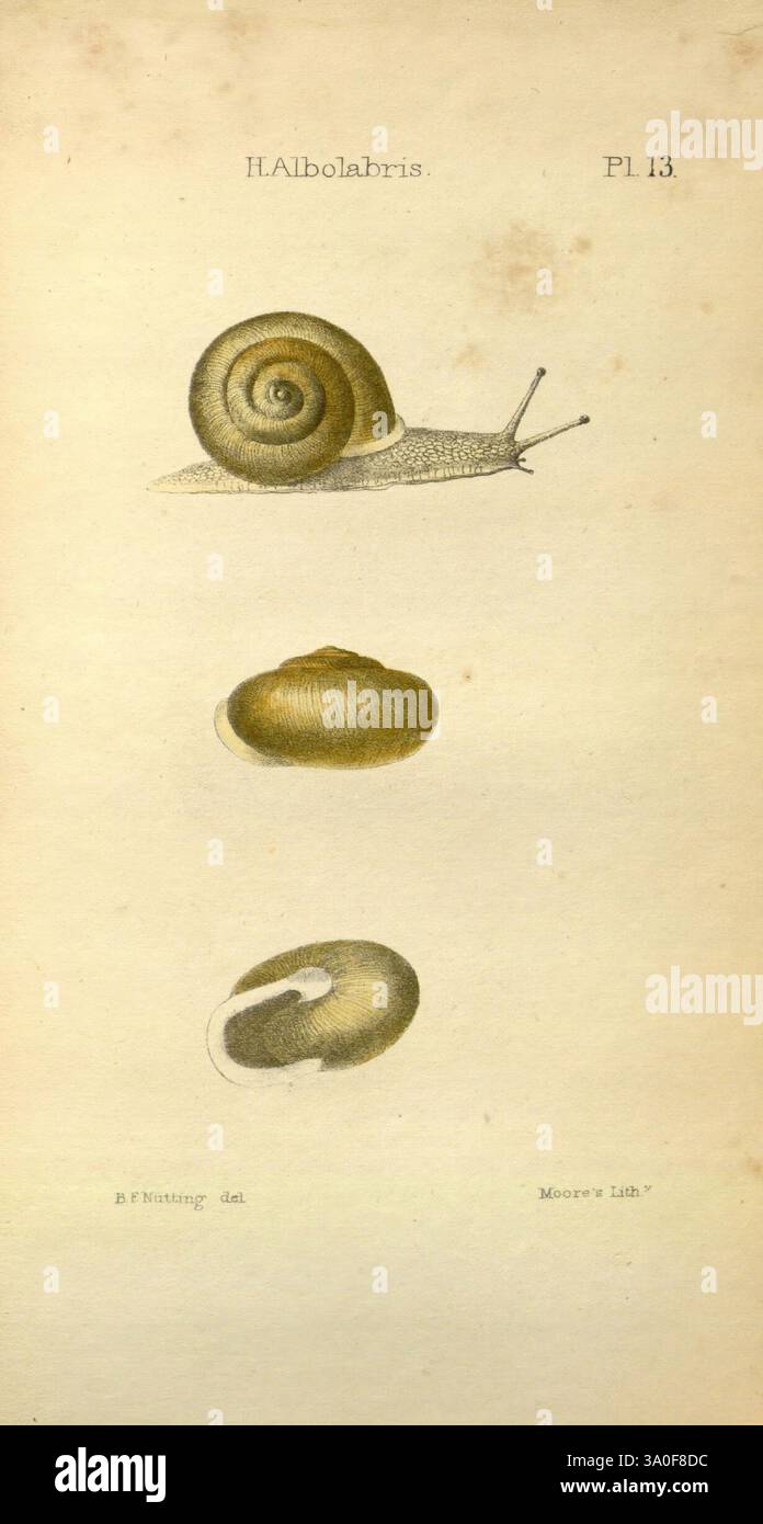 Boston Journal of Natural History Boston Boston Society of Natural ...