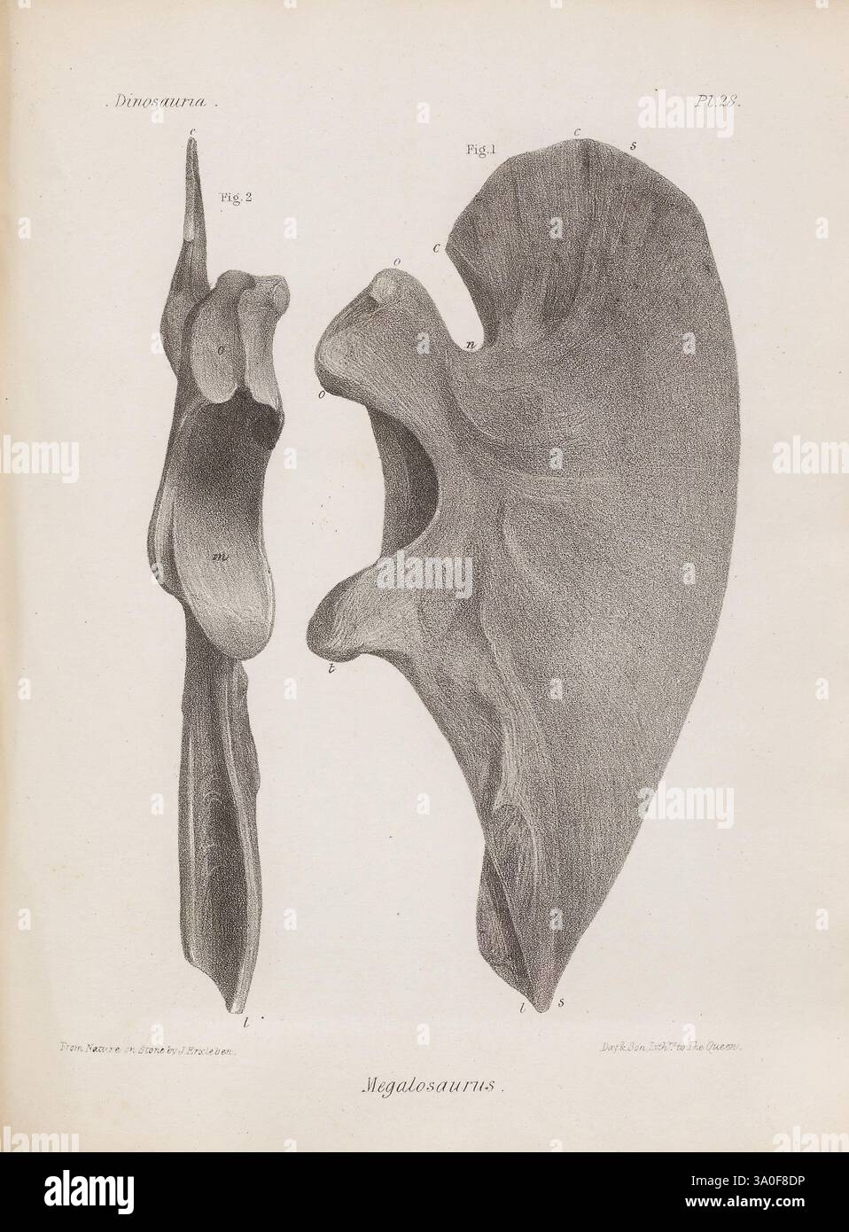 A history of British fossil reptiles, London, Cassell & Company Limited ...