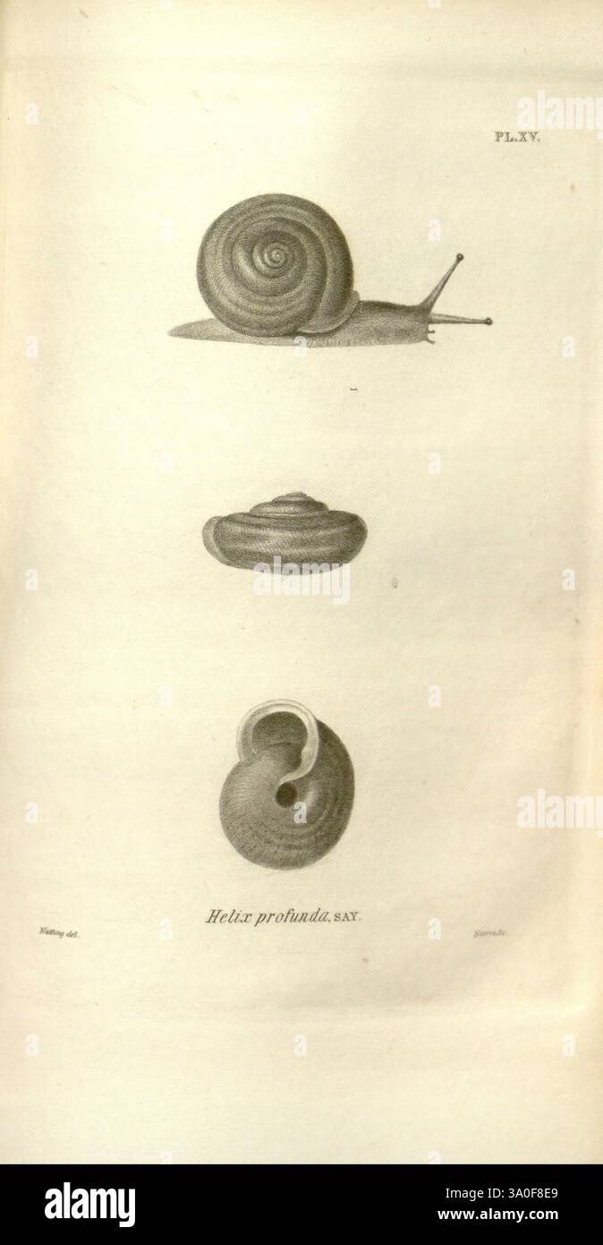 Boston, Journal of Natural History. Boston Society of Natural History ...