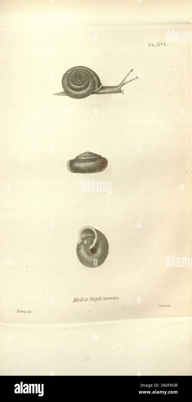 Boston Journal of Natural History. Boston, Boston Society of Natural ...