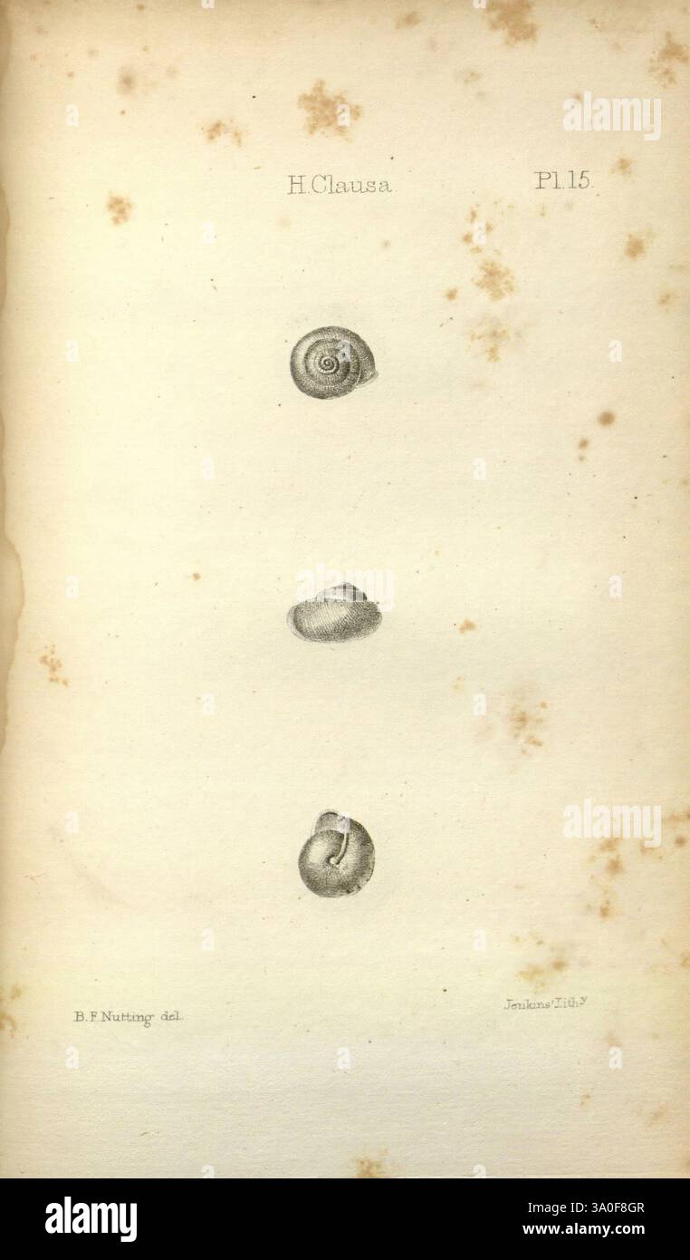 Boston Journal of Natural History. Boston, Boston Society of Natural ...