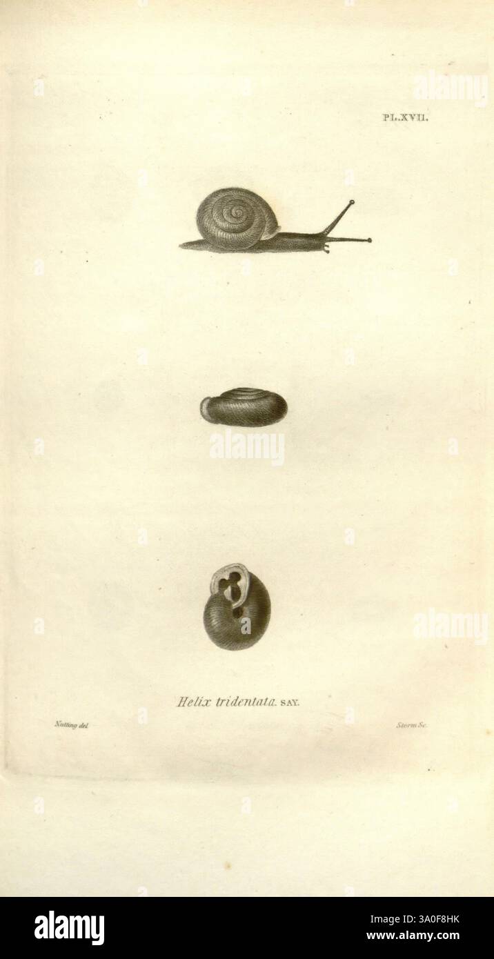 Boston Journal of Natural History Boston Boston Society of Natural ...