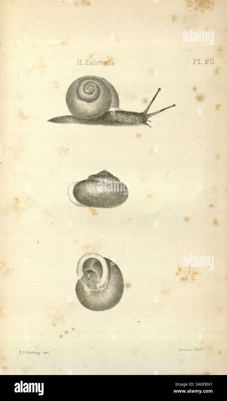 Middle representation exhibits hi-res stock photography and images - Alamy