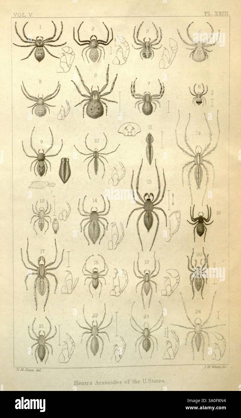 Boston, Journal of Natural History, Boston Society of Natural History ...