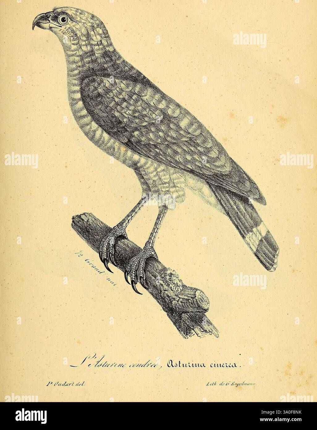 Mix of bold lines hi-res stock photography and images - Alamy