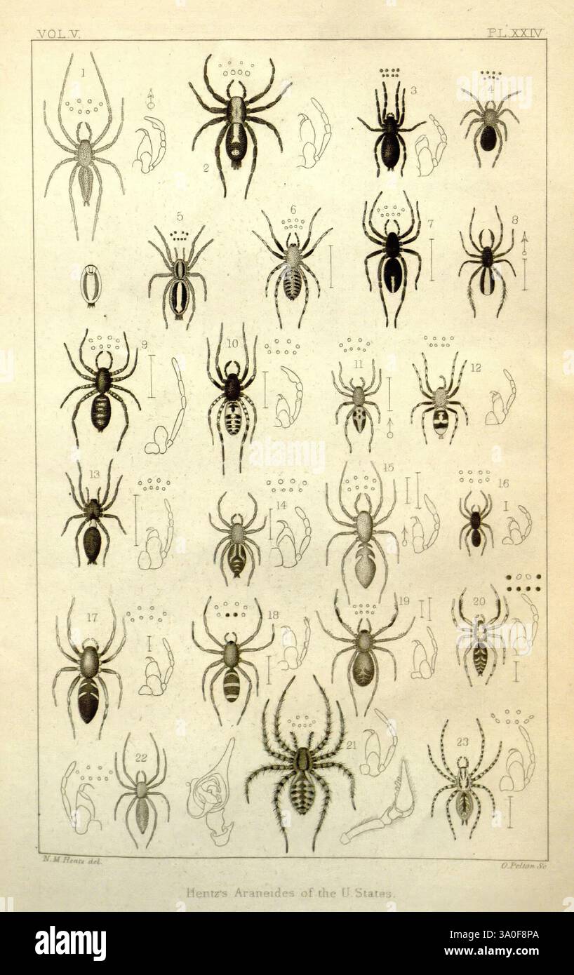 Boston Journal of Natural History. Boston, Boston Society of Natural ...