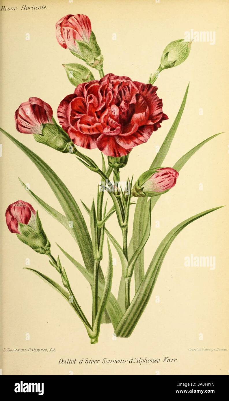 Souvenir dalphonse karr hi-res stock photography and images - Alamy