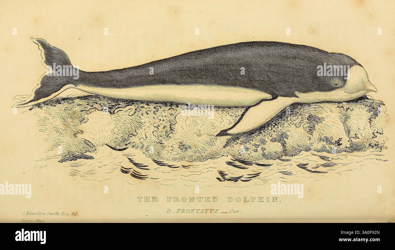 The animal kingdom, London, Printed for G.B. Whittaker, 1827-1835 ...