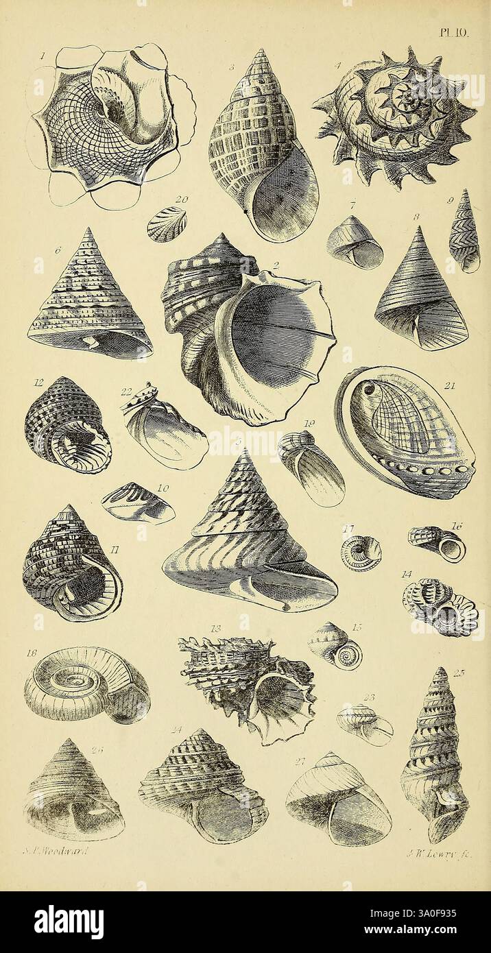 Curated selection serves hi-res stock photography and images - Alamy