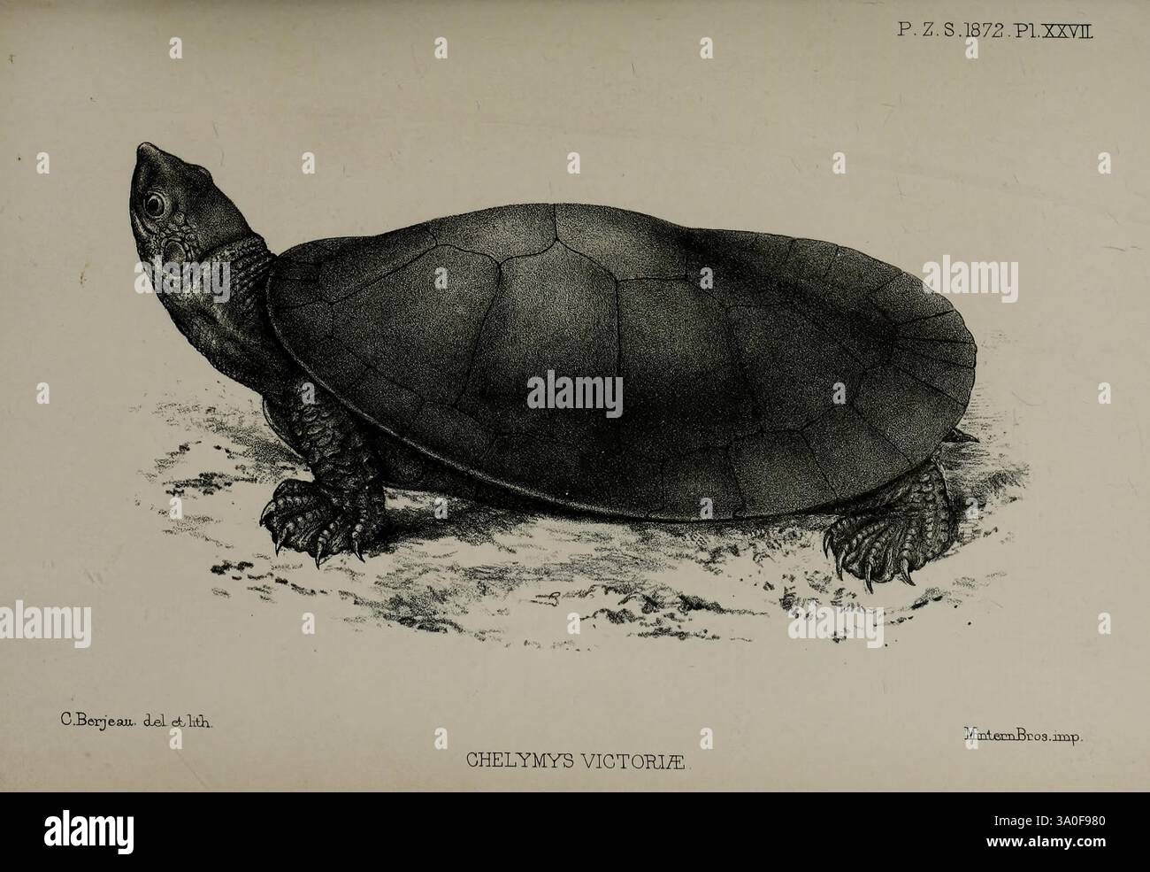 Hints of waters surface hi-res stock photography and images - Alamy