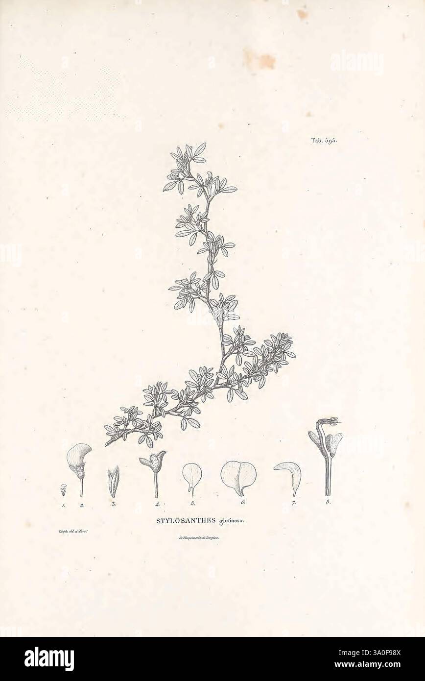 Depictions highlight various parts hi-res stock photography and images ...