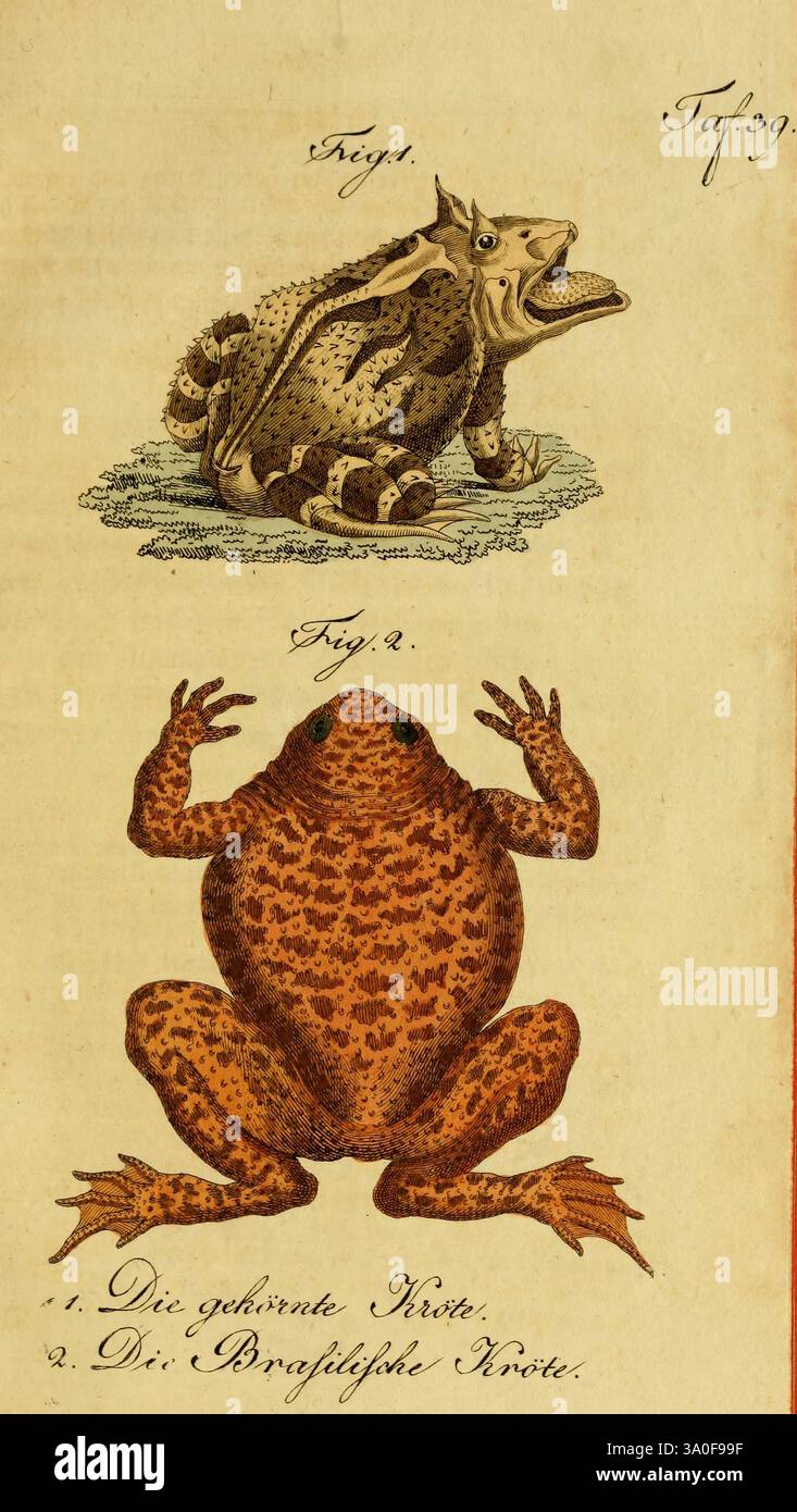 Irregular patterns of dark patches hi-res stock photography and images ...