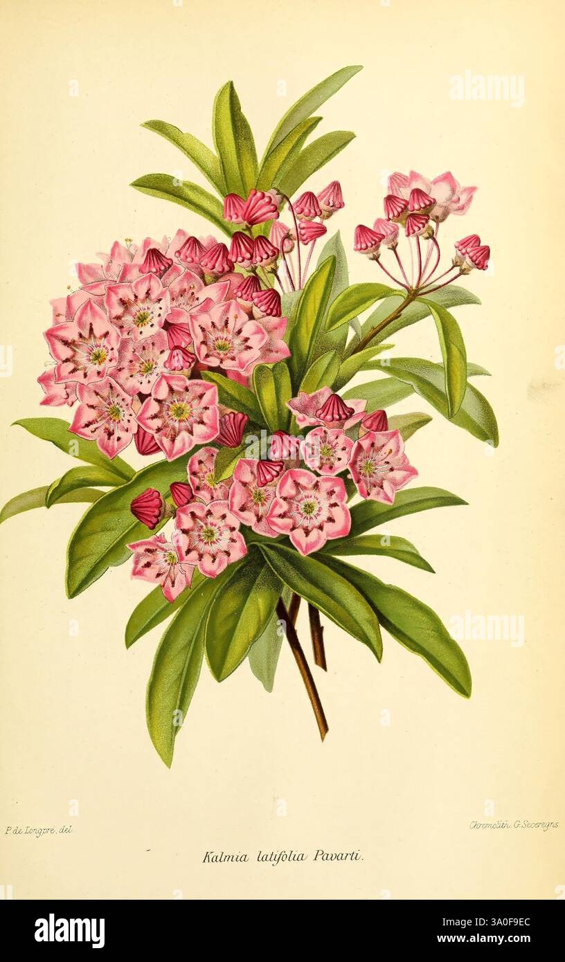 Revue horticole Paris, Librairie agricole de la maison rustique 1829 ...