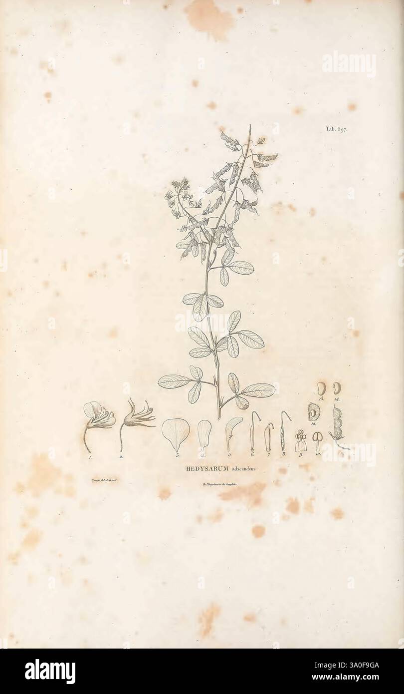 Various representations of different parts hi-res stock photography and ...