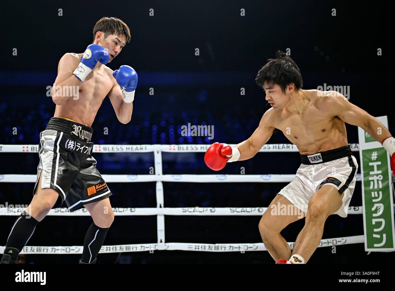 Ryuya Moriai (blue gloves) knocks down Eigoro Akai (red gloves) in the ...