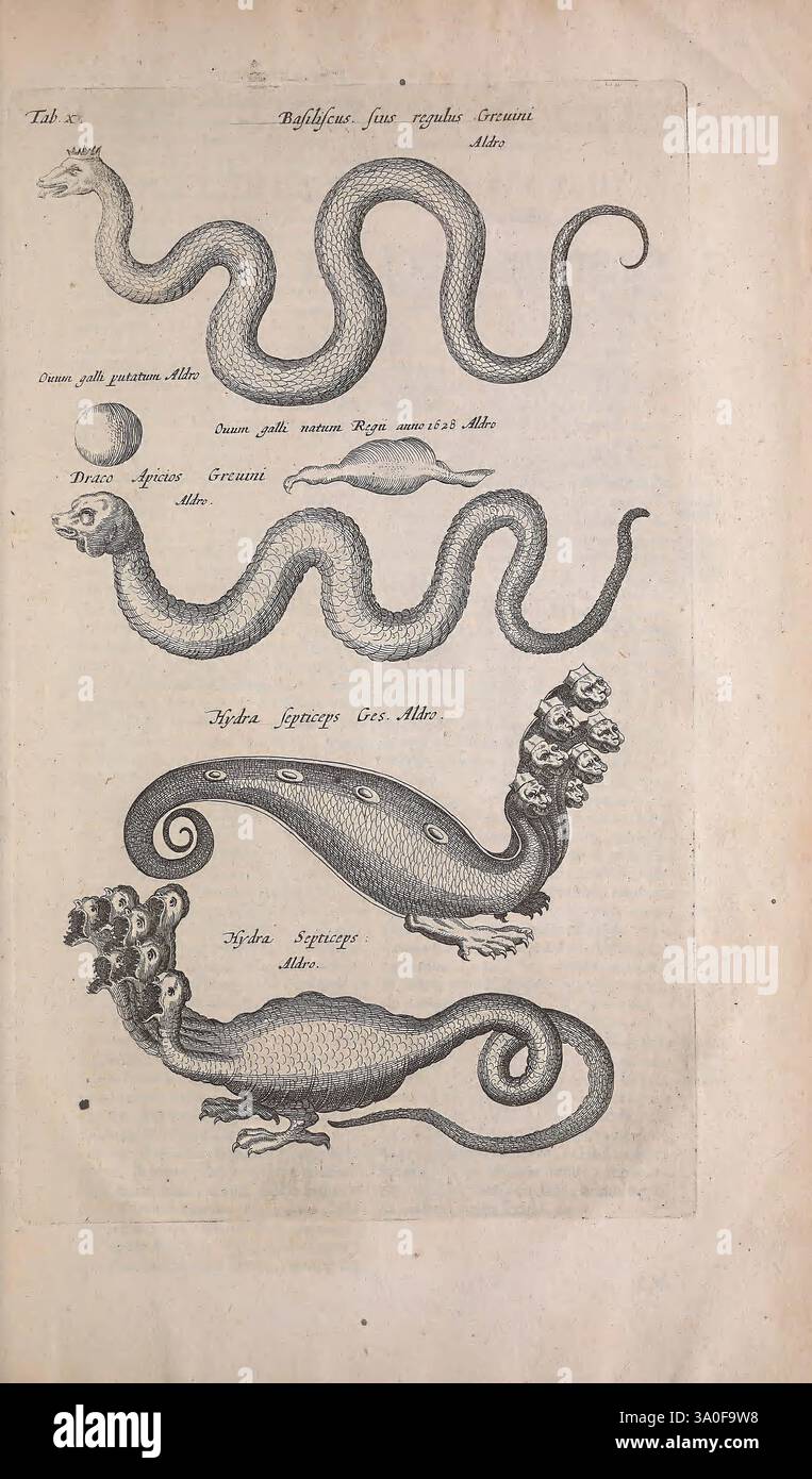 Mythical qualities hi-res stock photography and images - Alamy