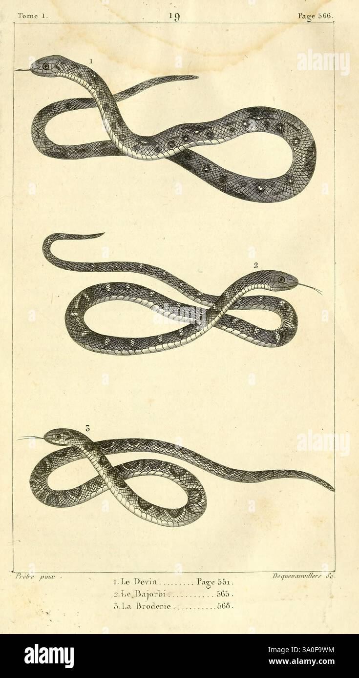 Striking arrangement of scales hi-res stock photography and images - Alamy