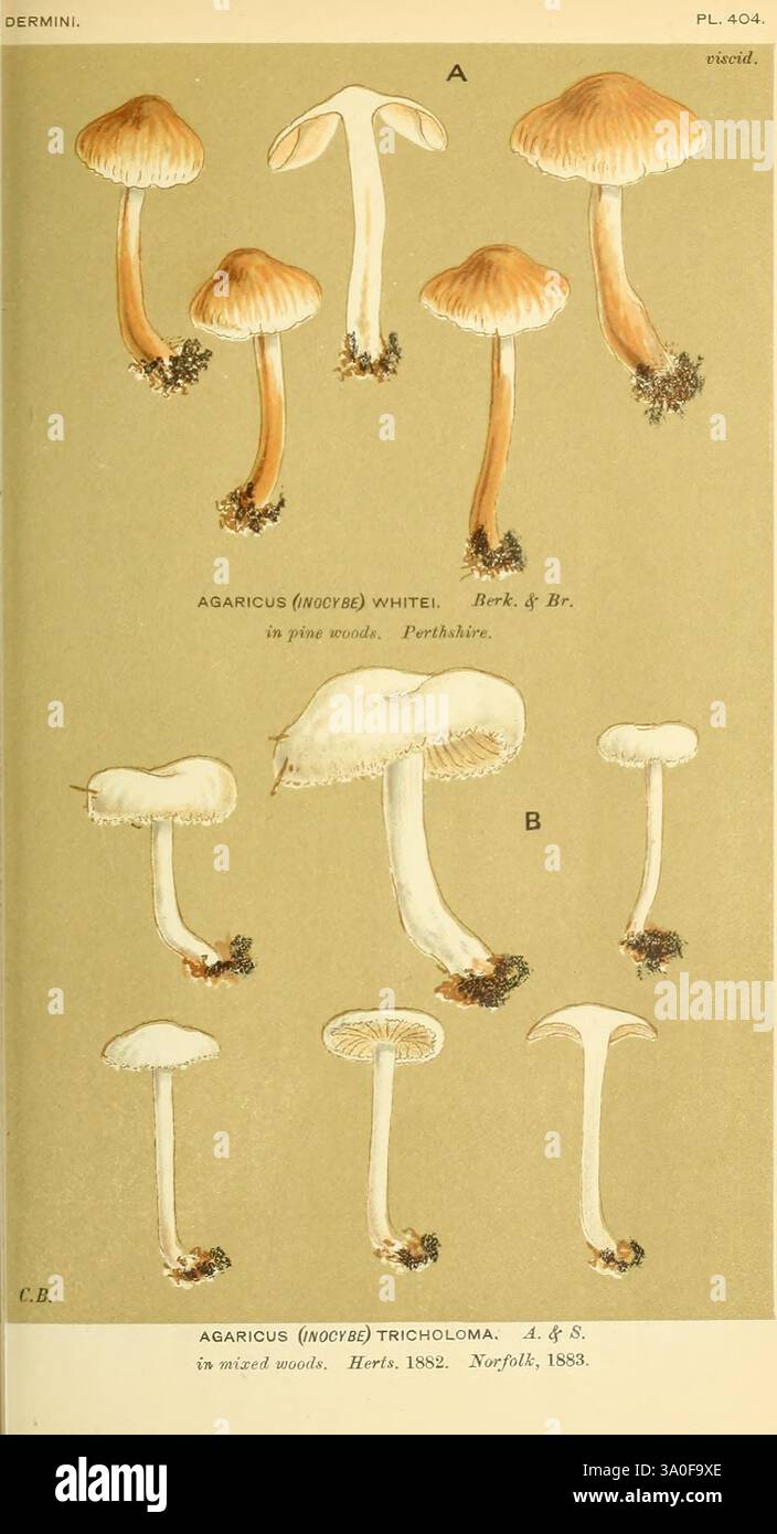 Top section features two distinct forms labeled hi-res stock ...