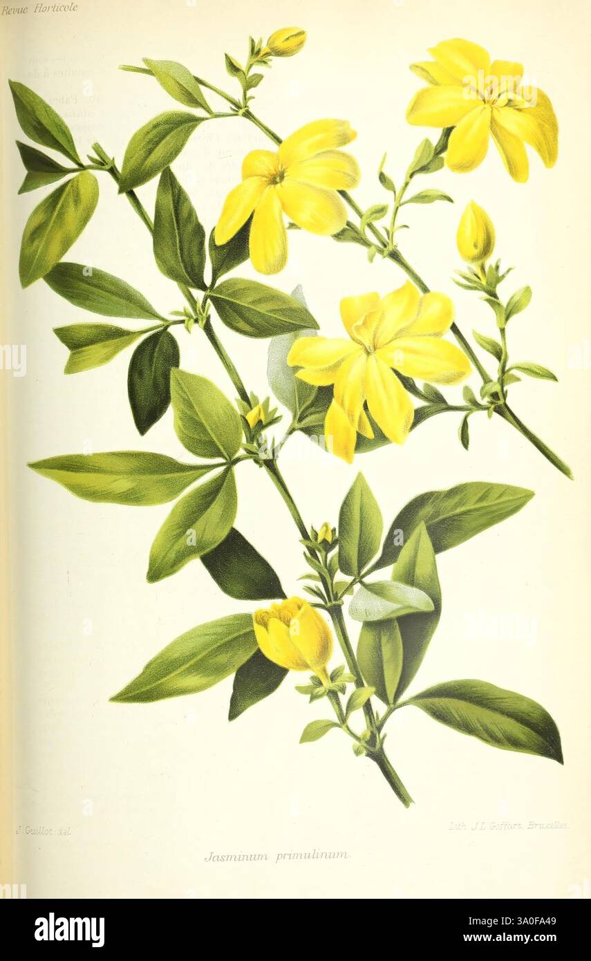 Revue horticole Paris Librairie agricole de la maison rustique 1829 ...