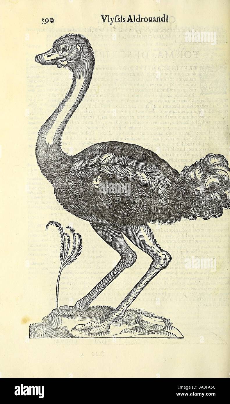 Vlyssis Aldrovandi Philosophi ac medici Bononiensis Historiam naturalem ...