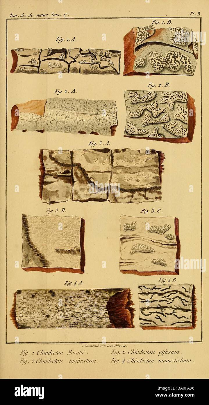 Complexities of geology hi-res stock photography and images - Alamy