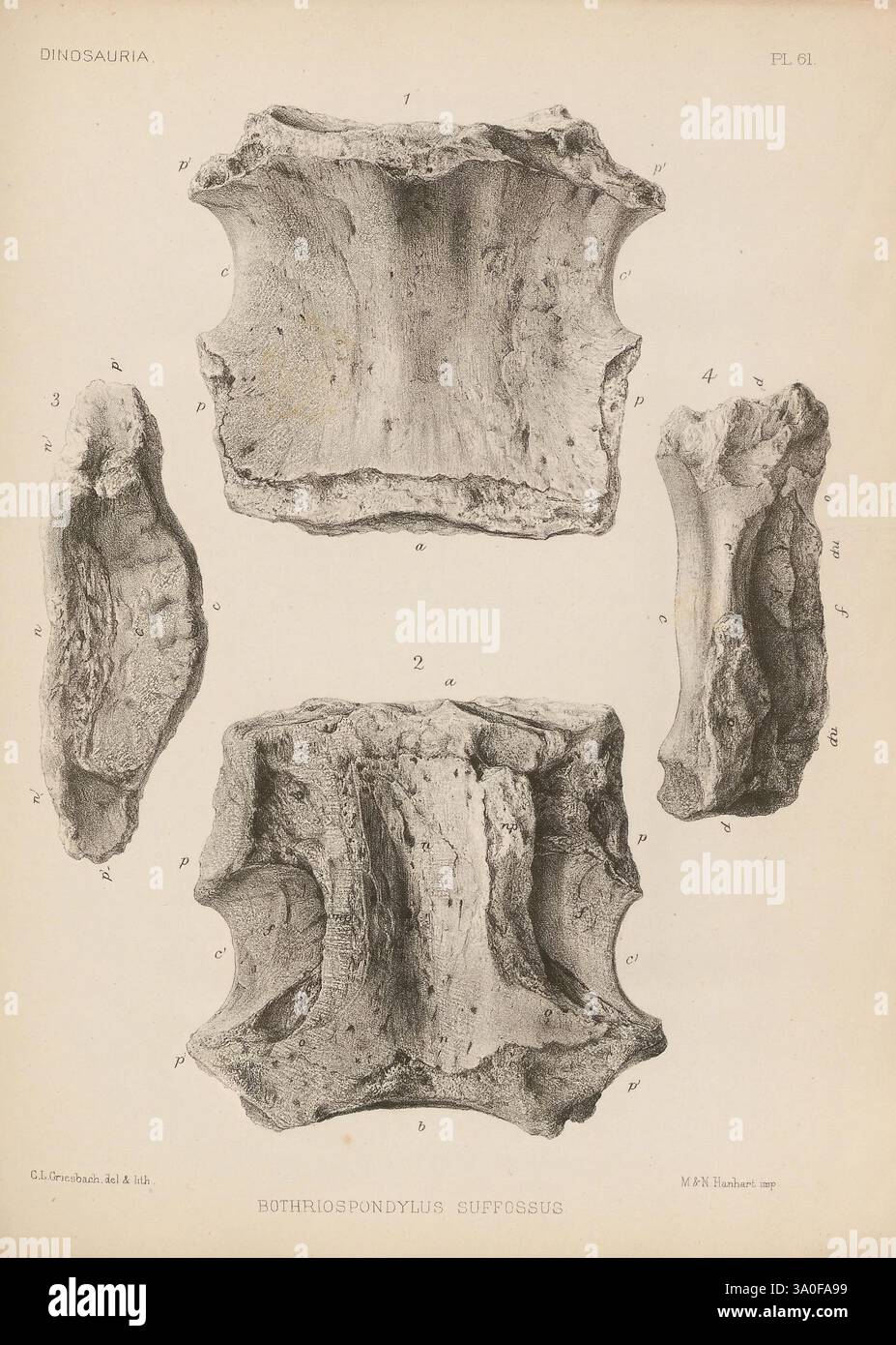 A history of British fossil reptiles, London, Cassell & Company Limited ...