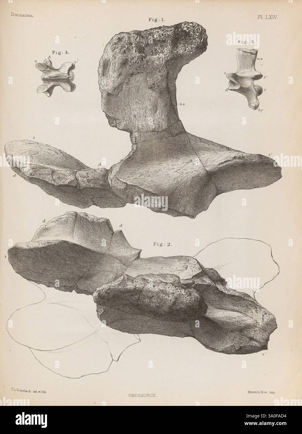 2 depicts another formation hi-res stock photography and images - Alamy