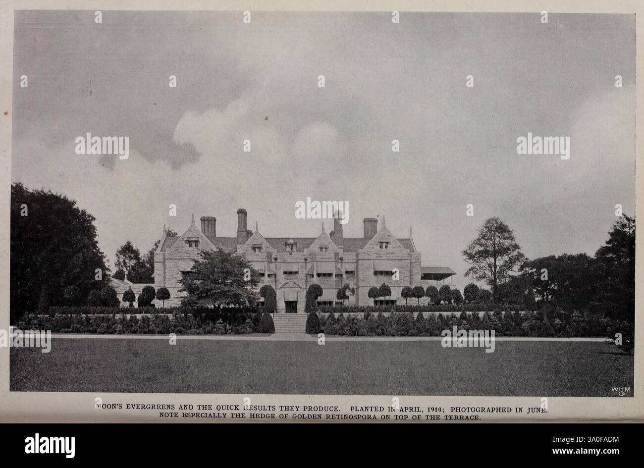 Moon's hardy trees & plants for every place & purpose, Morrisville, Pa ...