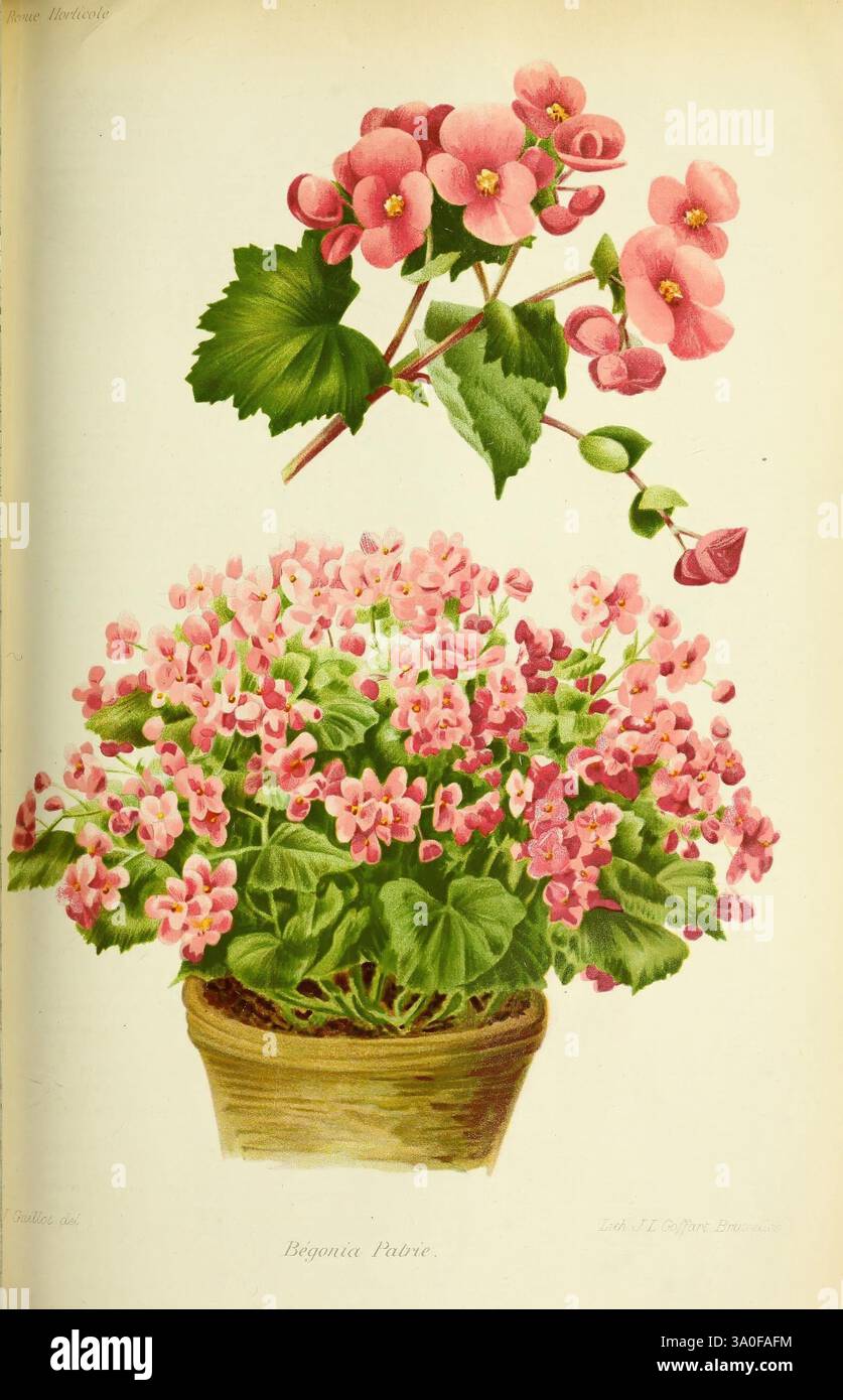 Revue horticole Paris Librairie agricole de la maison rustique 1829 ...