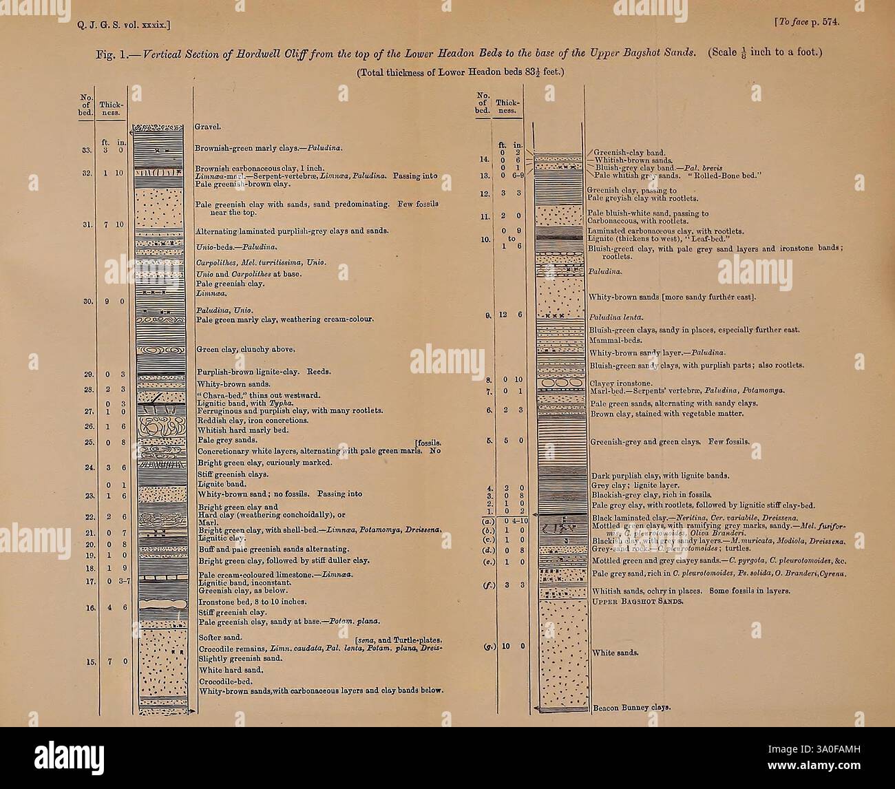 Systematic representation of various geological layers hi-res stock ...