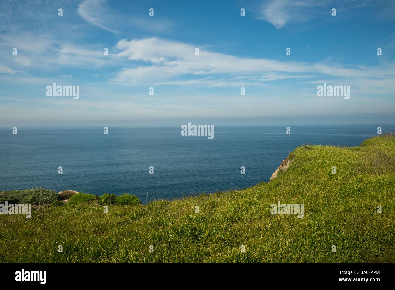 Blue Skies Over Grassy Shore of Santa Cruz Island in channel Islands ...