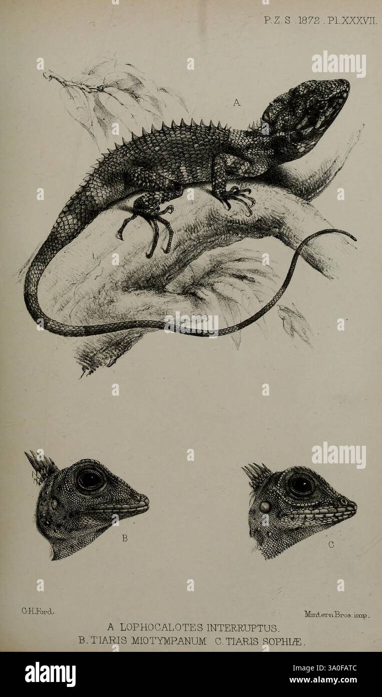 Additional views labeled hi-res stock photography and images - Alamy