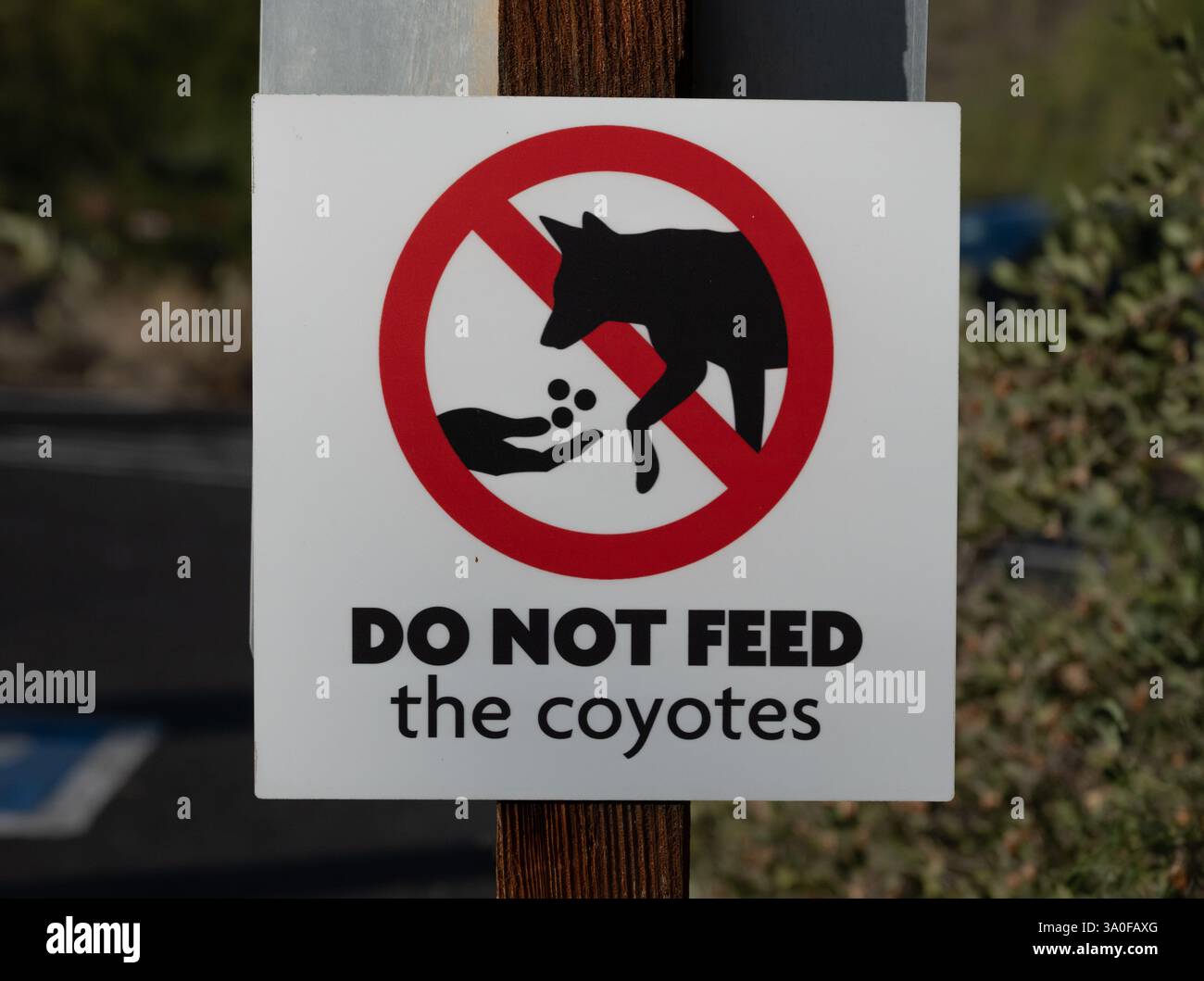Do Not Feed The Coyotes Sign In Parking Lot in Saguaro National Park ...