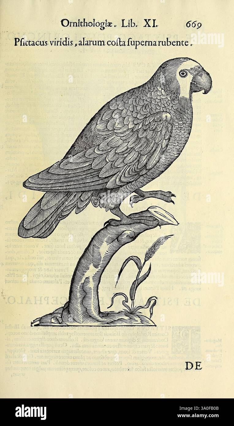 Vlyssis Aldrovandi philosophi ac medici Bononiensis historiam naturalem ...