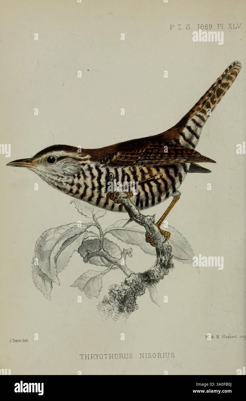 Proceedings of the Zoological Society of London, London, Academic Press ...