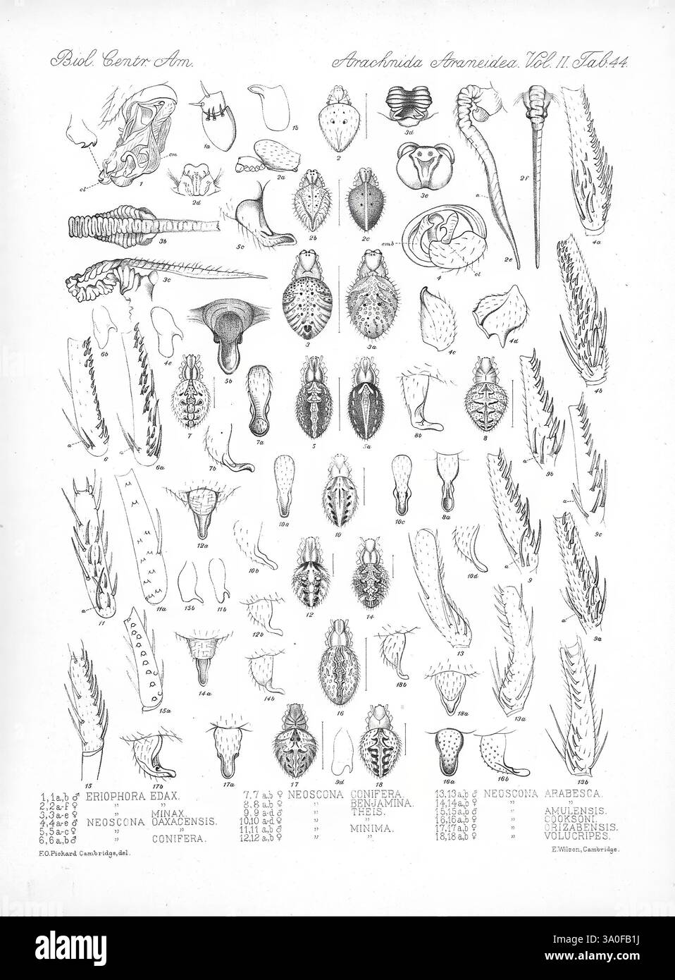 Detailed compilation of various marine hi-res stock photography and ...