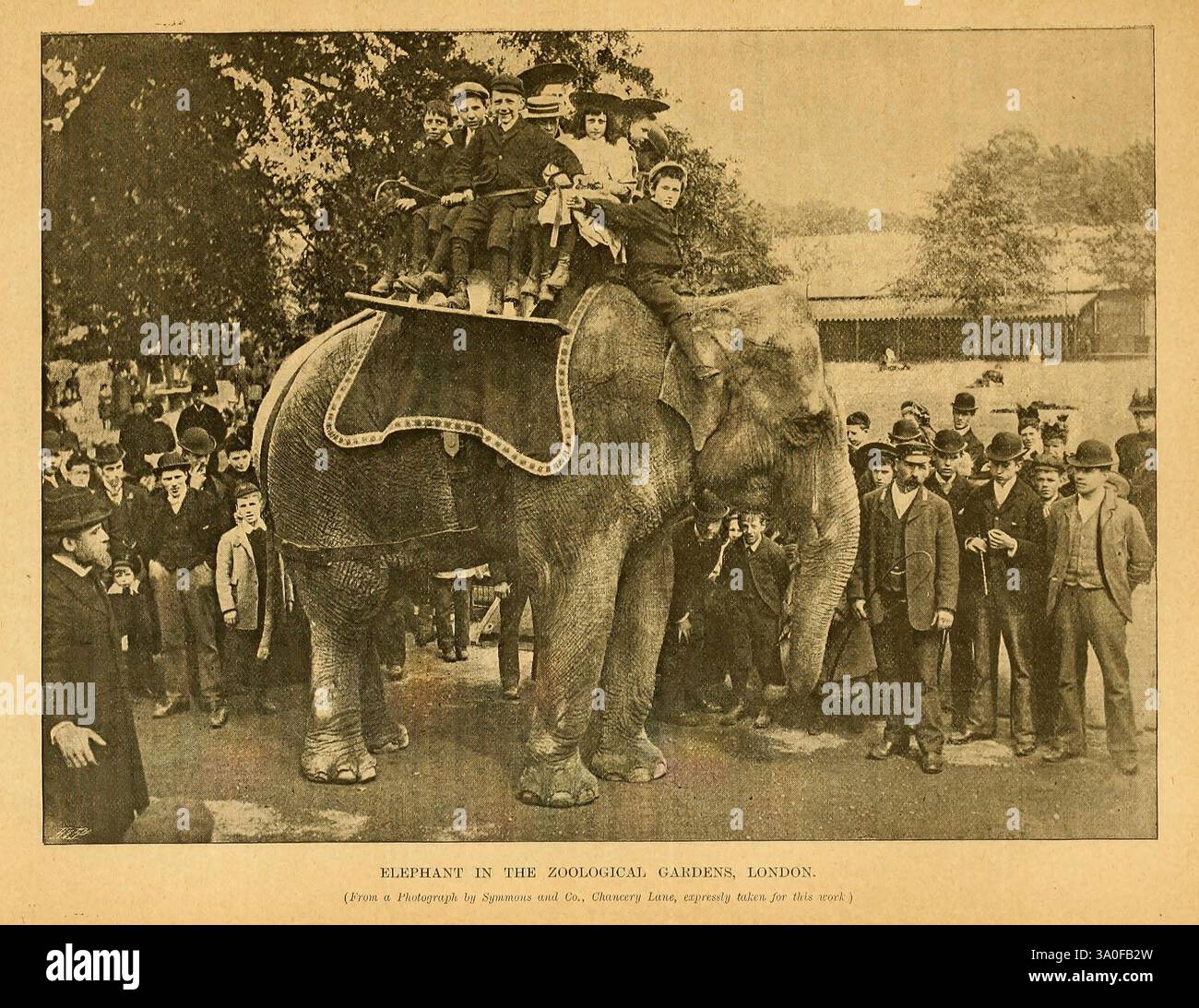 Cassell's natural history. London Cassell & Company, Limited, 1896 ...