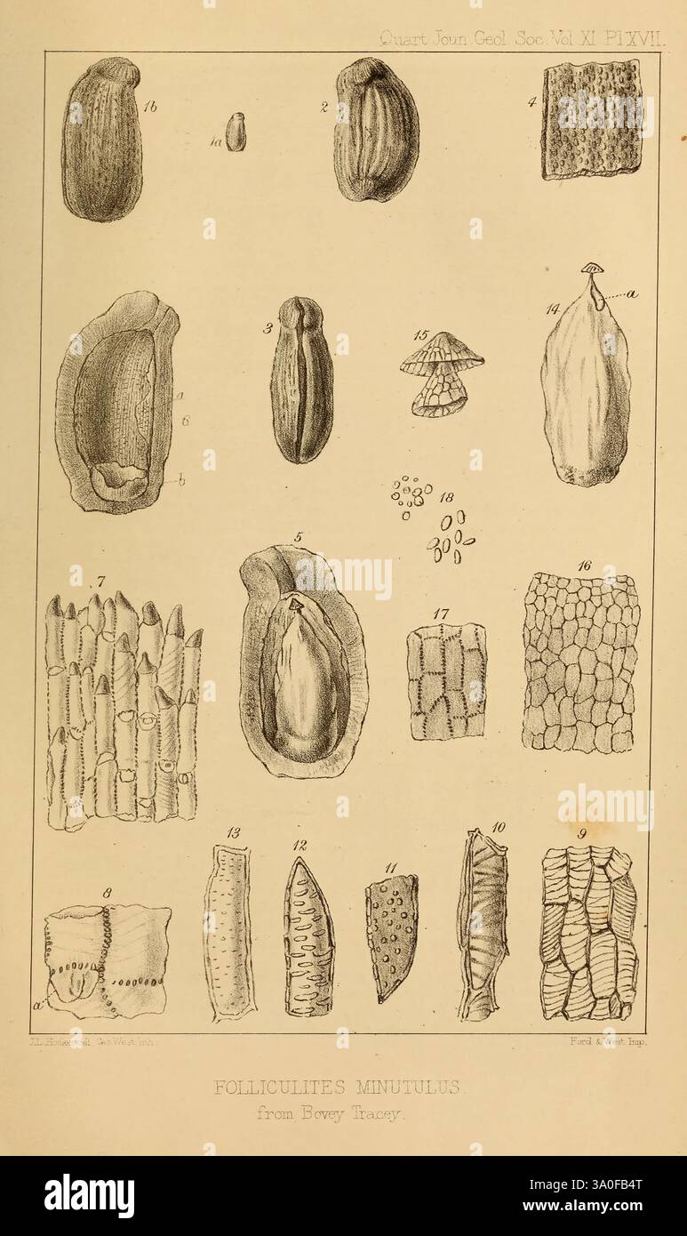 Detailed depictions of surface patterns hi-res stock photography and ...
