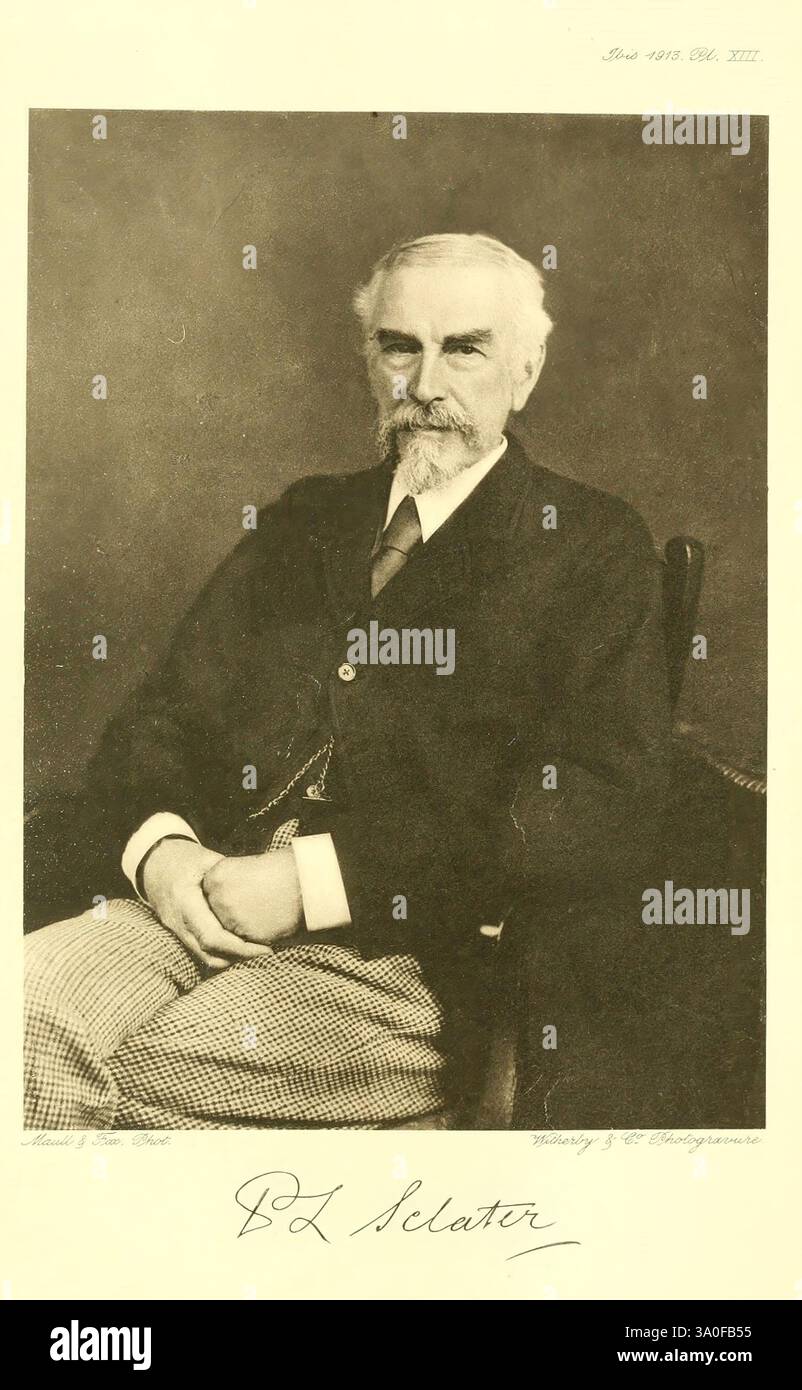 Philip lutley sclater hi-res stock photography and images - Alamy