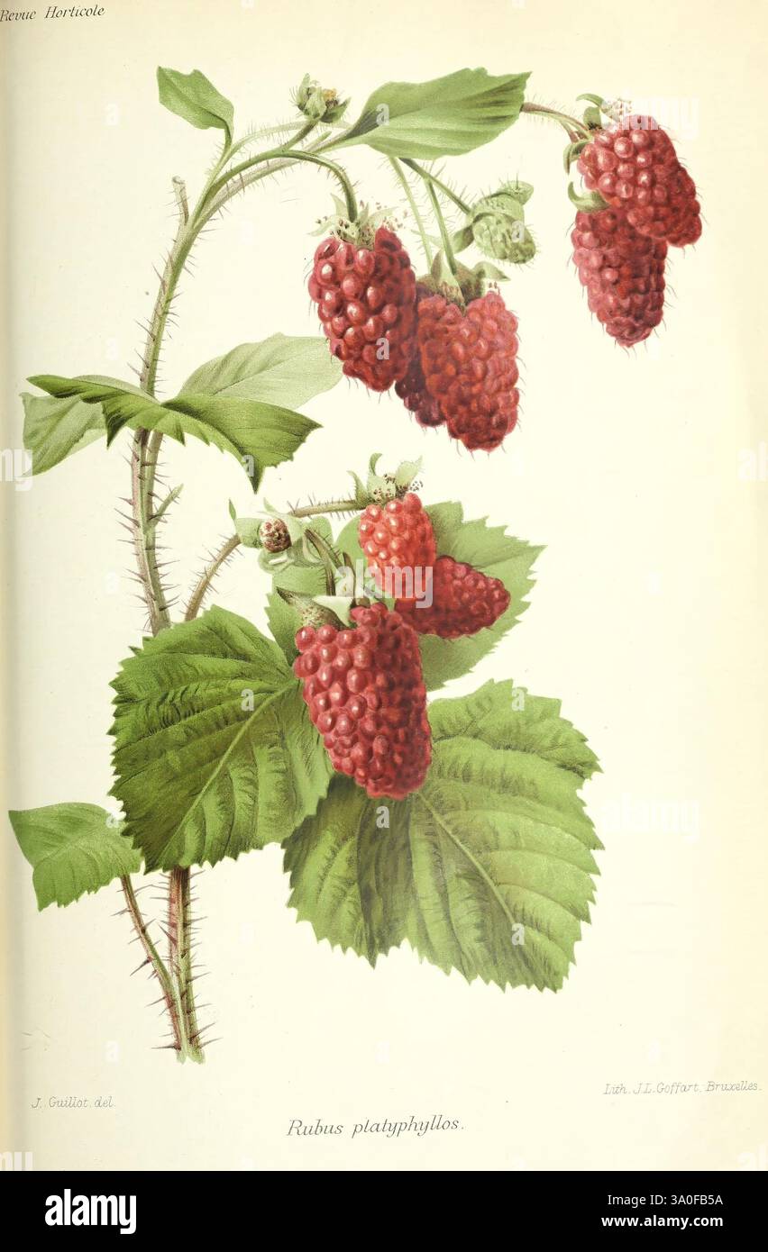 Revue horticole Paris Librairie agricole de la maison rustique 1829 ...