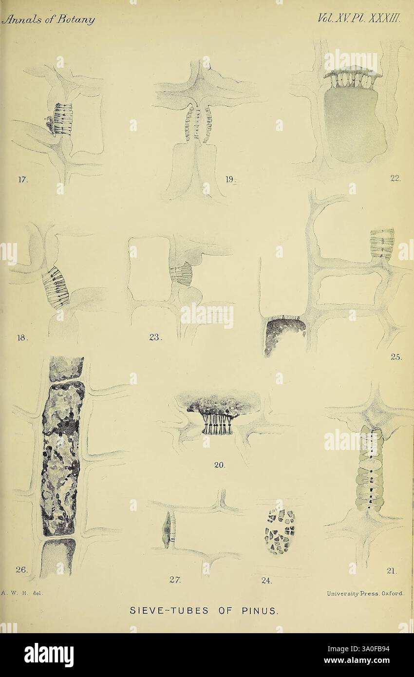 Potential perforation patterns hi-res stock photography and images - Alamy