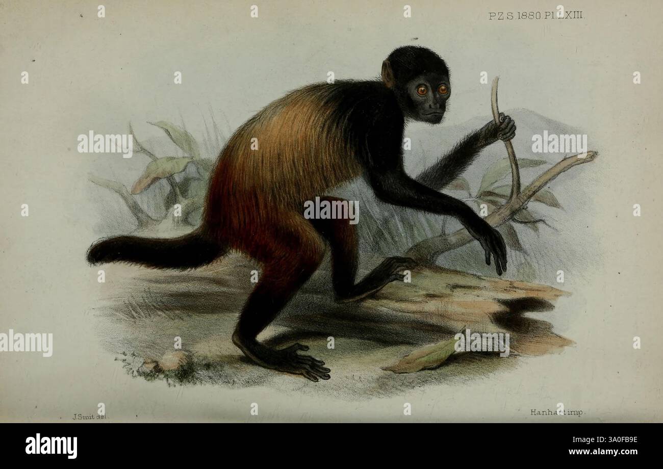 Proceedings of the Zoological Society of London, London, Academic Press ...