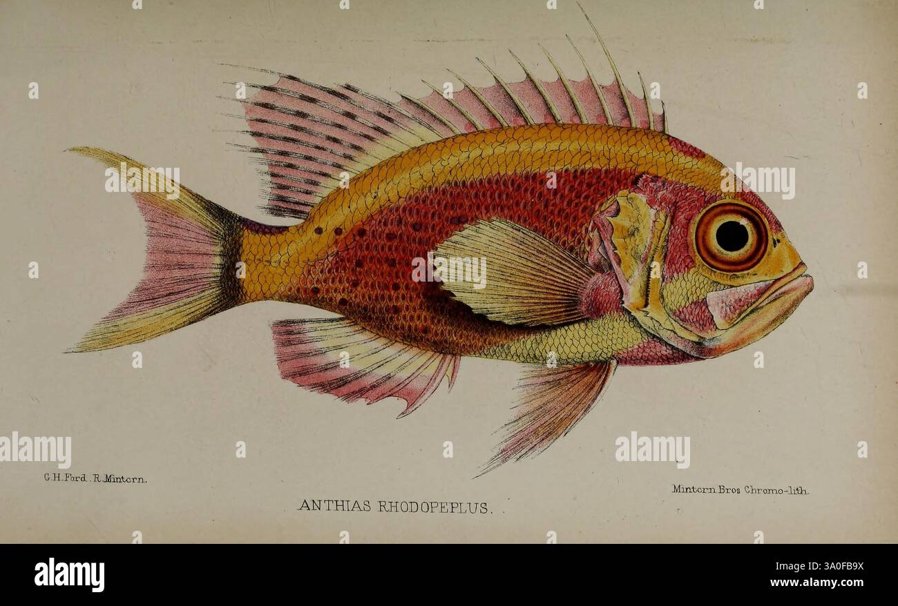 Proceedings of the Zoological Society of London, London, Academic Press ...