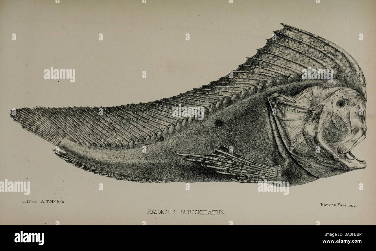 Proceedings of the Zoological Society of London, London, Academic Press ...