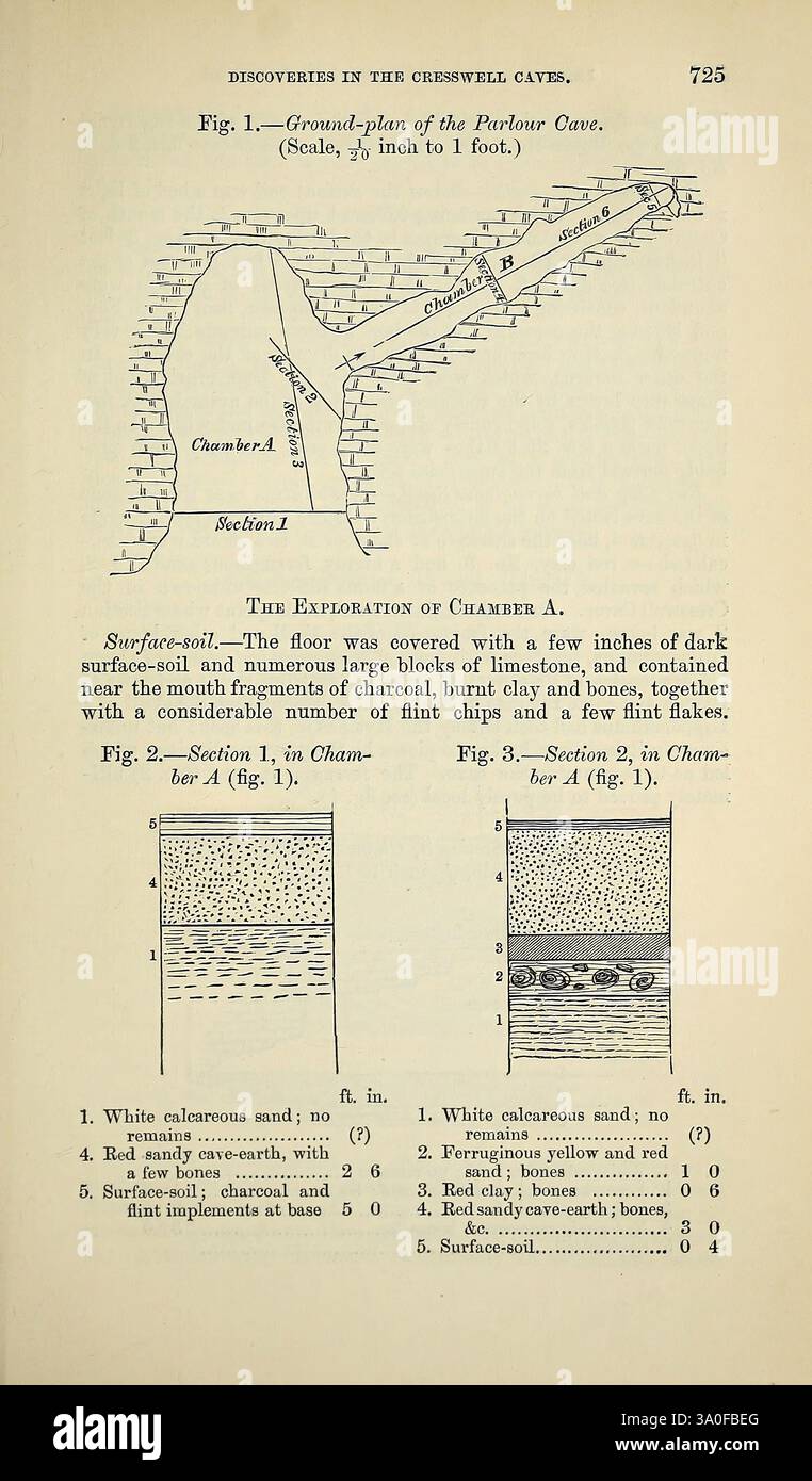 The Quarterly Journal of the Geological Society of London, v. 35 (1879 ...