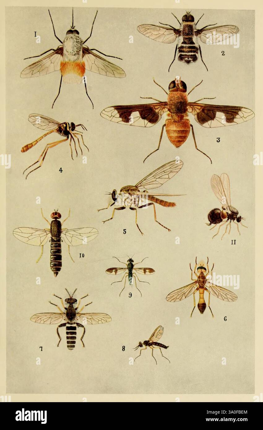 Two prominent figures labeled hi-res stock photography and images - Alamy