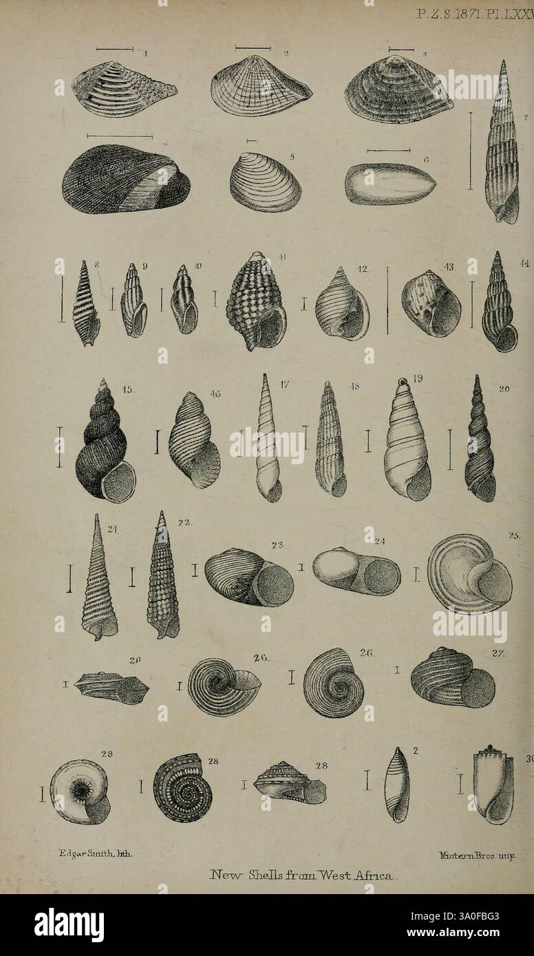 Previously undocumented hi-res stock photography and images - Alamy