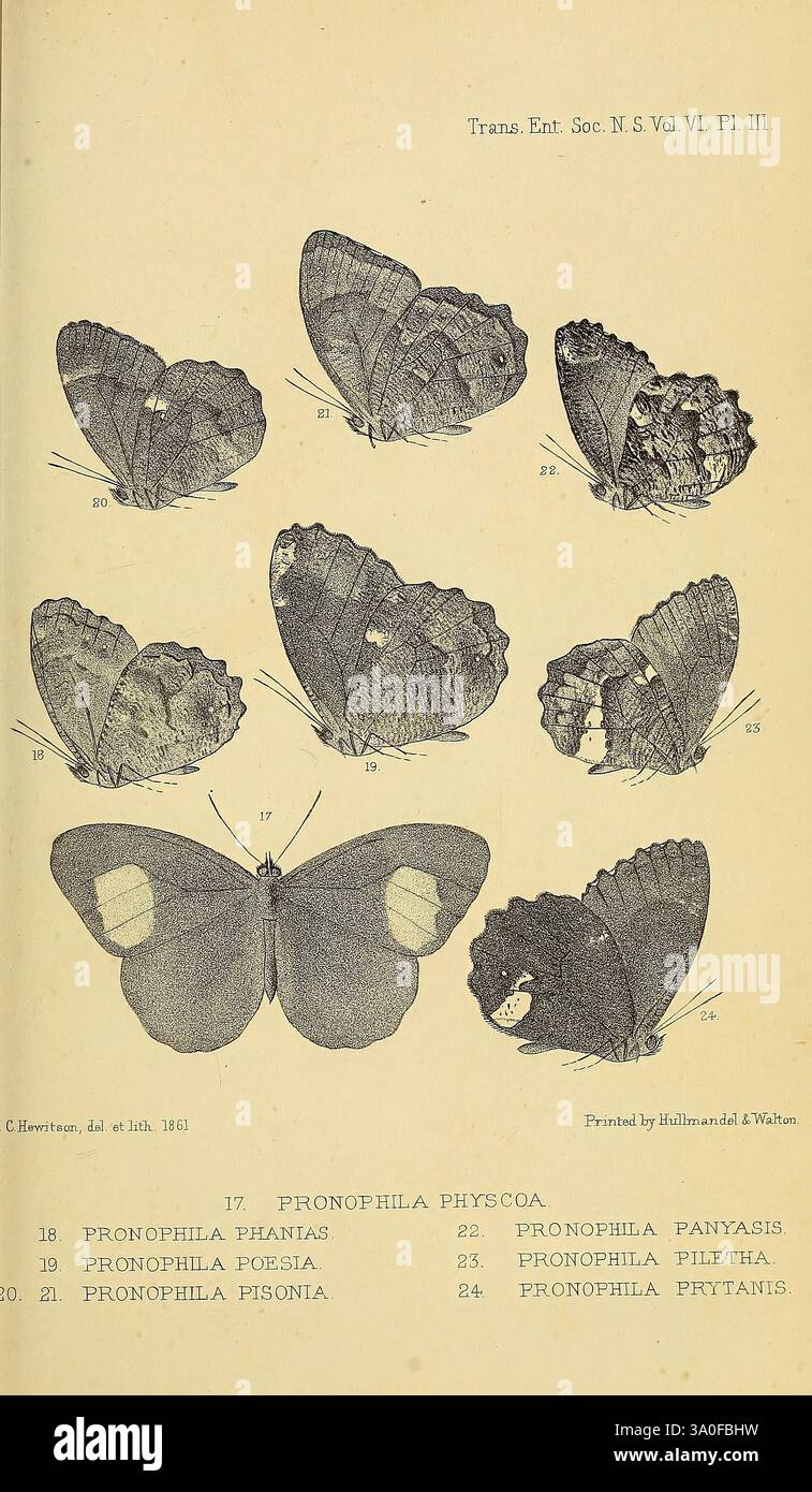 Transactions of the Entomological Society of London, London, The ...