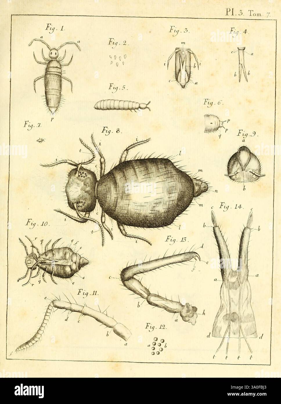 Memoires pour servir a l'histoire des insectes, Stockholm, L.L. Grefing ...